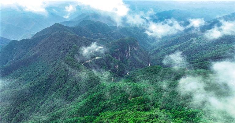 温暖的回响 | 牛背梁：亲山亲水有亲人