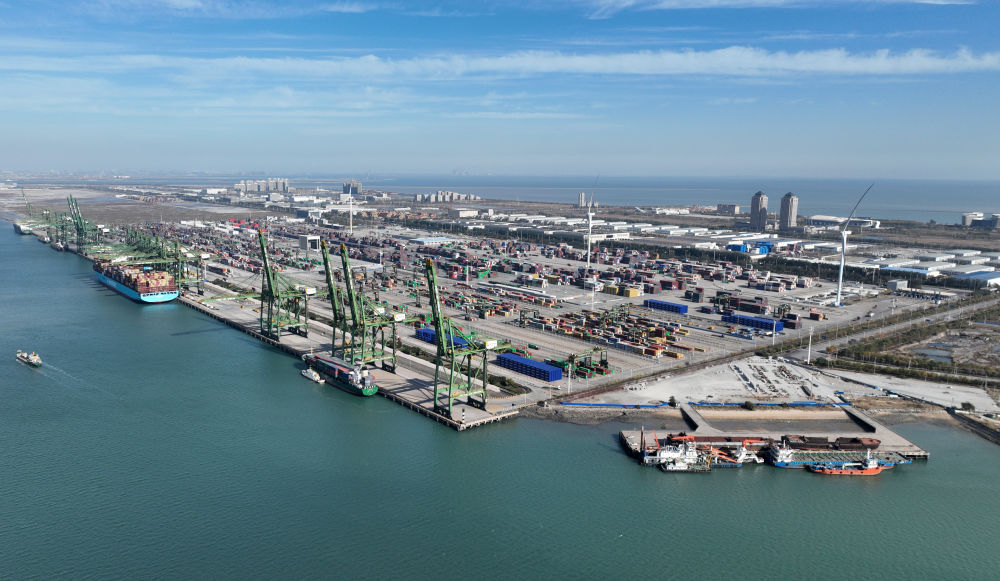 来这场盛会，共谋航运业发展未来