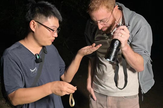 Fabio Takes a Nocturnal Excursion into the Tropical Rainforest