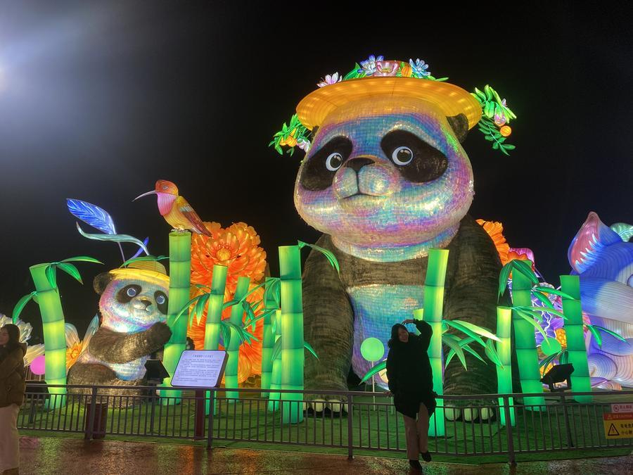 Xinhua Headlines: China's "city of lanterns" shares light, joy worldwide