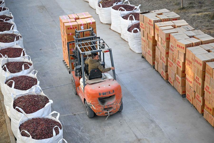 Economy&Life | E-commerce boosts the sales of premium Xinjiang goods ...